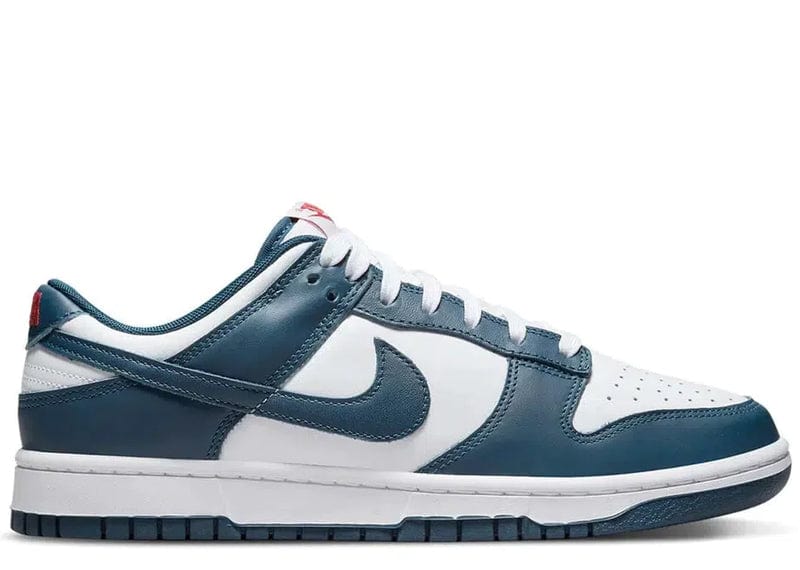 Nike Dunk Low Valerian Blue – Court Order
