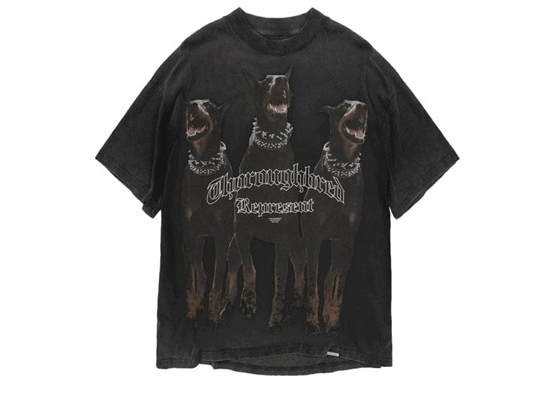 Represent Thoroughbred T-Shirt Vintage Black – Court Order